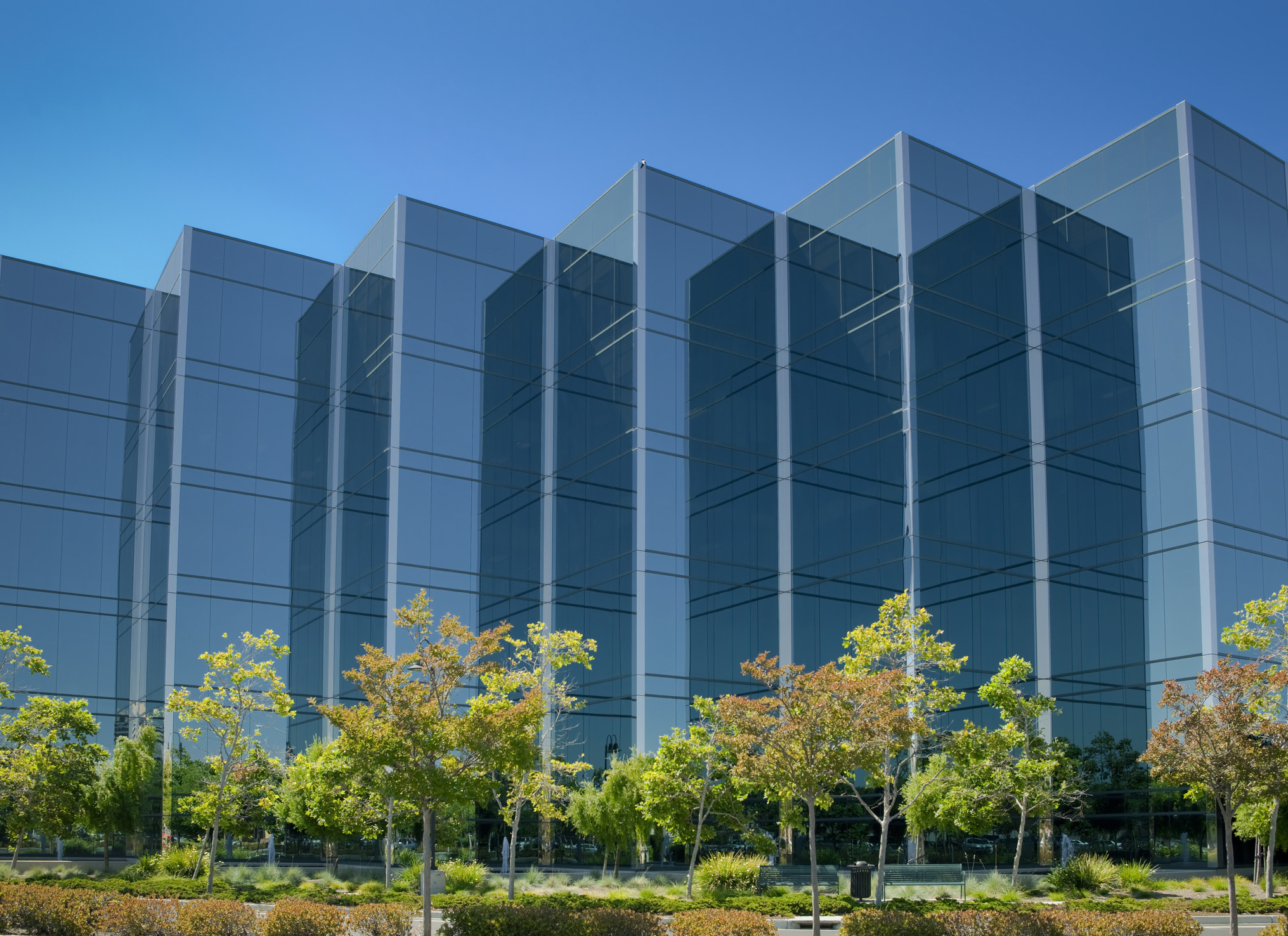 About Us - Silicon Valley Employers Forum