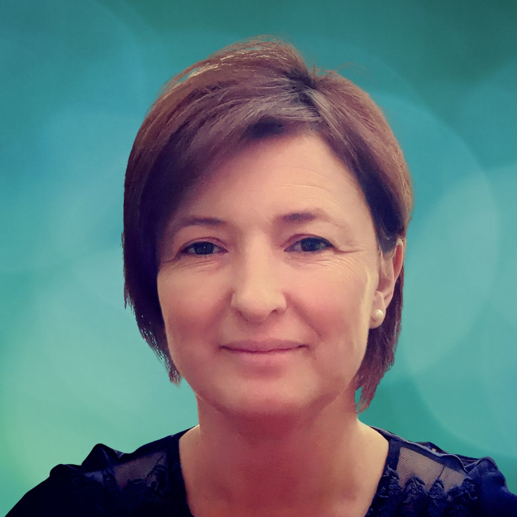 About Us - Silicon Valley Employers Forum